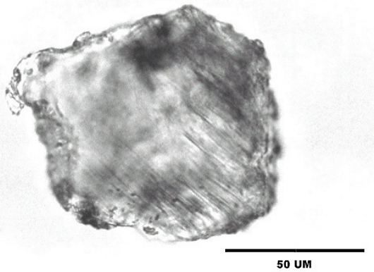 Shock Dynamics: Tektites