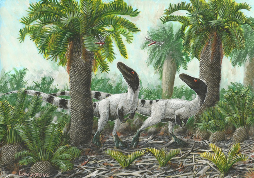 Shock Dynamics: Alaska