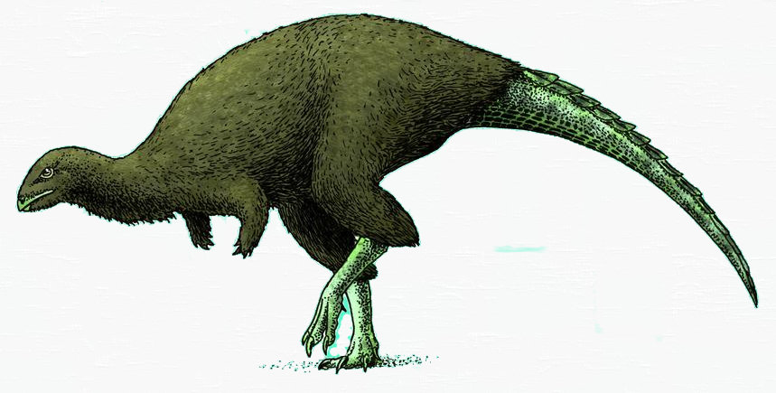 Shock Dynamics: Alaska