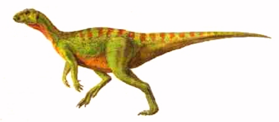 Shock Dynamics: Alaska