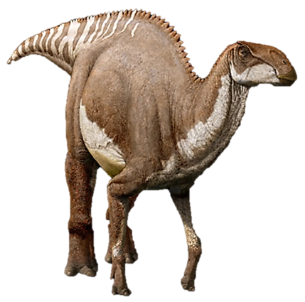 Carbon-14 dating dinosaur bones