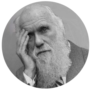 Debunking Evolution - Scientific evidence proving macro-evolution is ...