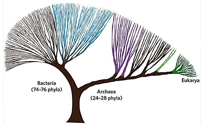 Debunking Evolution - Scientific evidence proving macro-evolution is ...