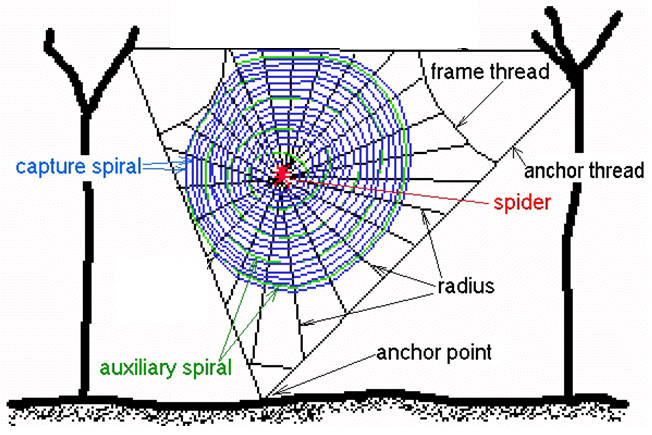 Debunking Evolution - Scientific evidence proving macro-evolution is ...